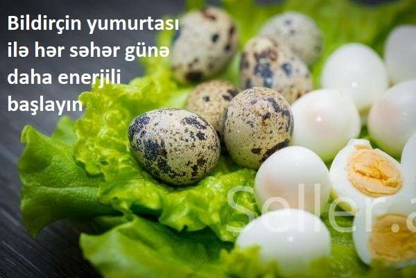 Bildirçin yumurtası Bildirçin yumurtası